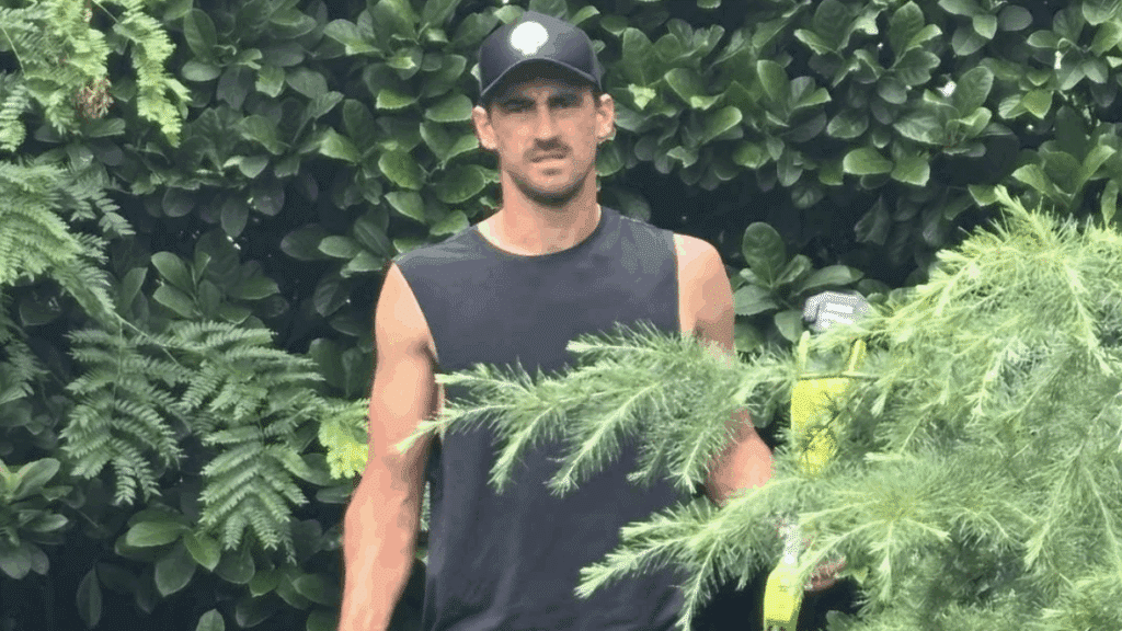 Alyssa Healy Celebrates Virat Kohli's Tenacity - cricketholics